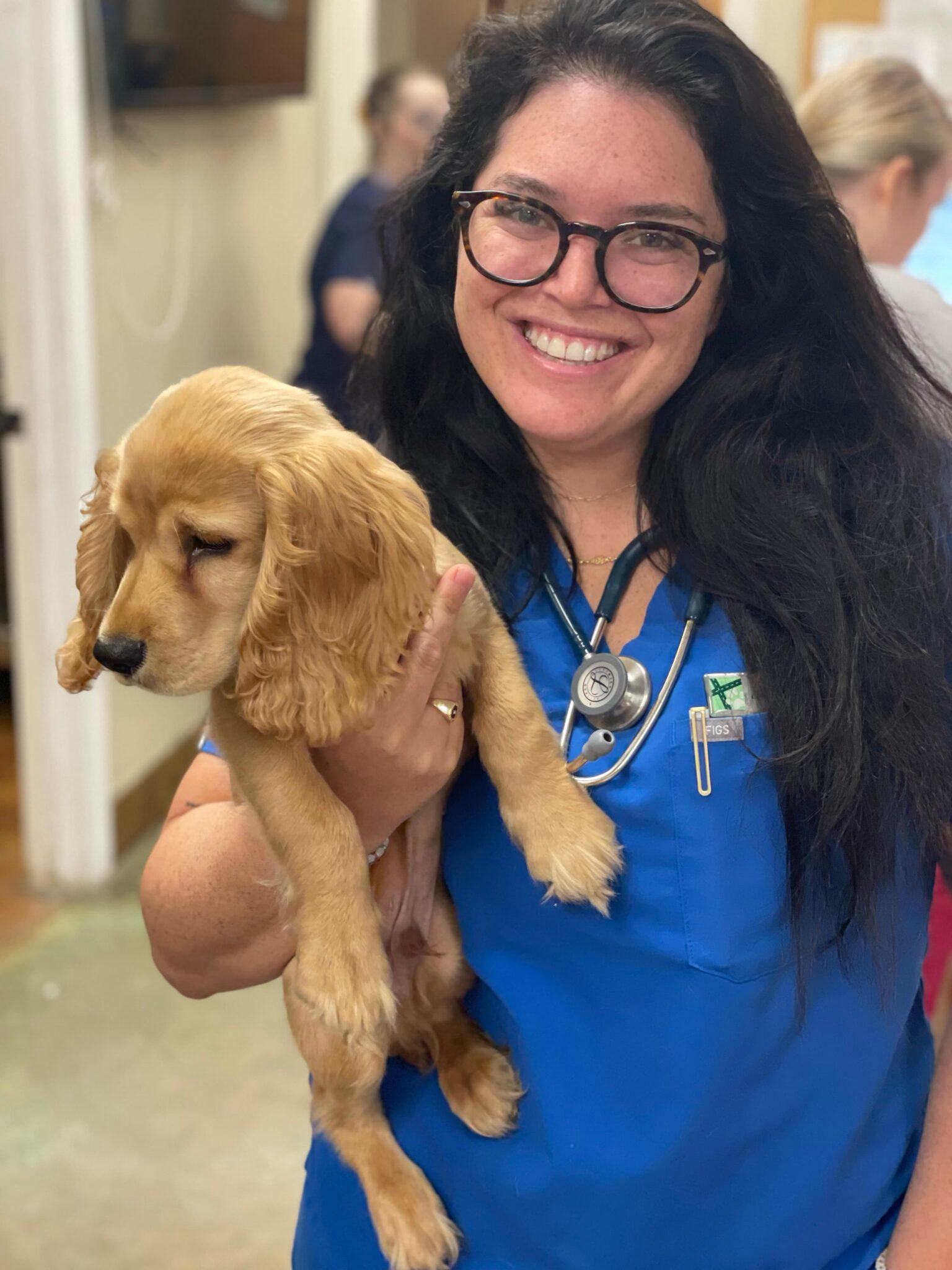 Crossroads Animal Hospital - Vet in Oxford, MS