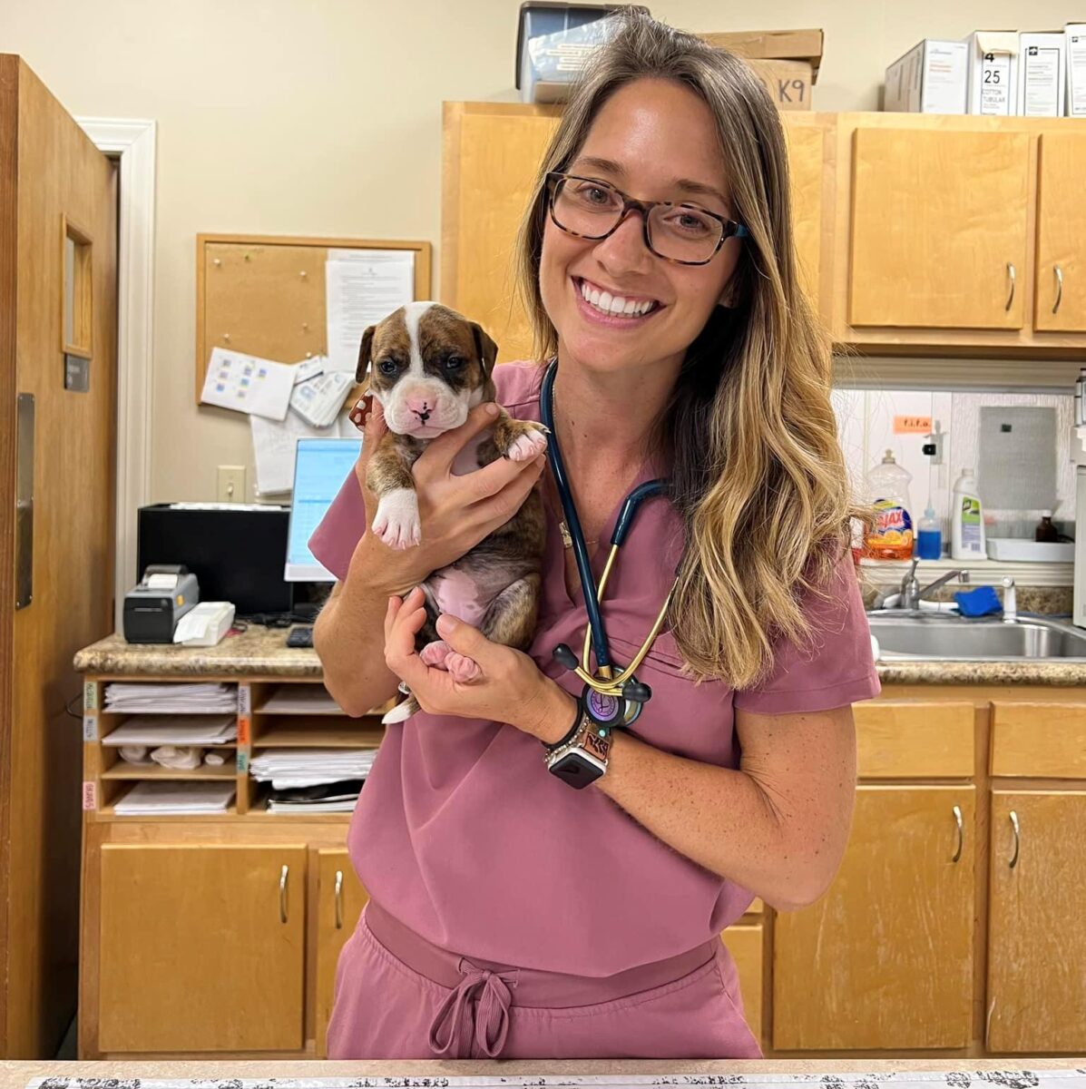 Crossroads Animal Hospital - Vet in Oxford, MS