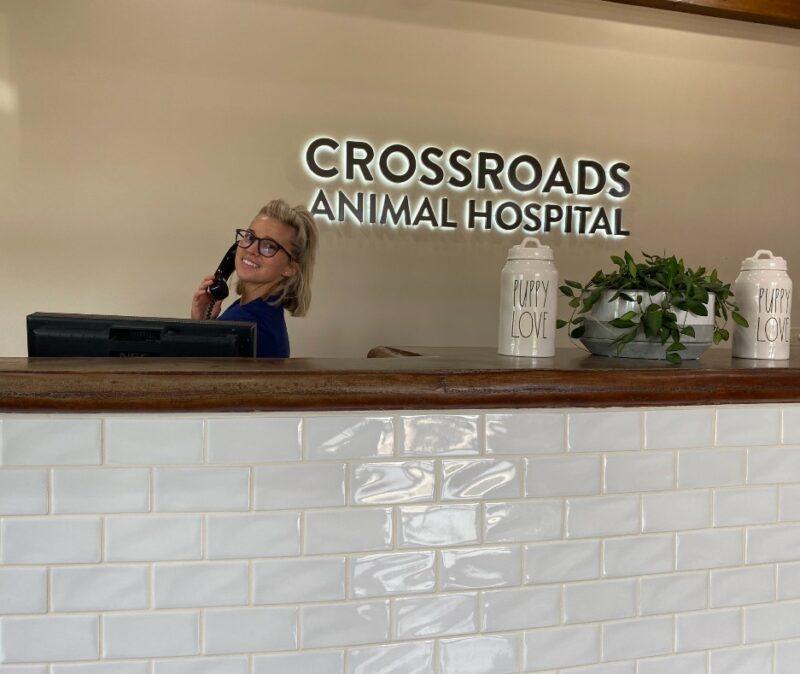 Crossroads Animal Hospital - Vet in Oxford, MS